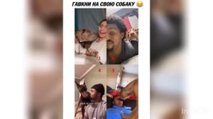 Попробуй не засмеяться! 100% проиграешь! 😹