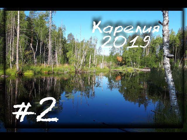 Карелия 2019 #2. Эко-отель Большая медведица.