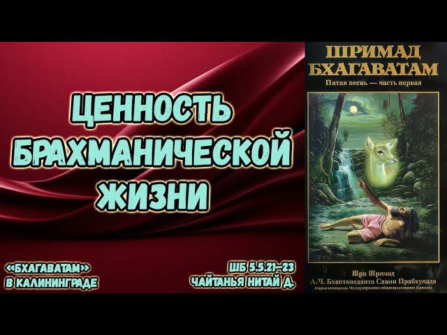 Ценность брахманической жизни. Чайтанья Нитай д. ШБ.5.5.21–23