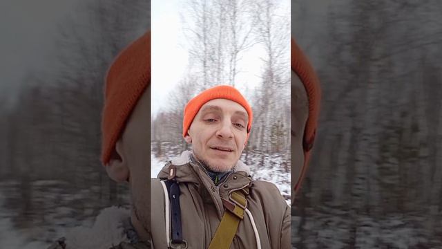 Охотничья прогулка 25.11.2023