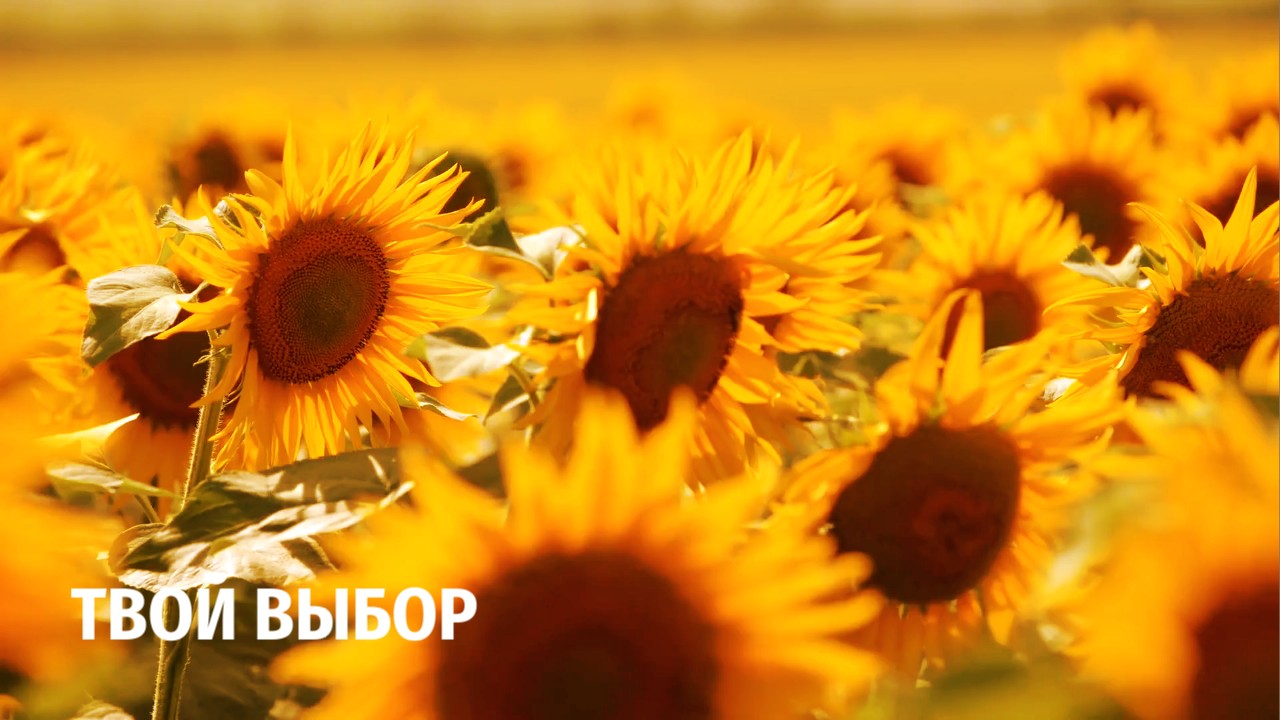 Лайф коучинг вместе с Крайсом Расулевым