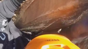 Несчастный Случай при валке дерева