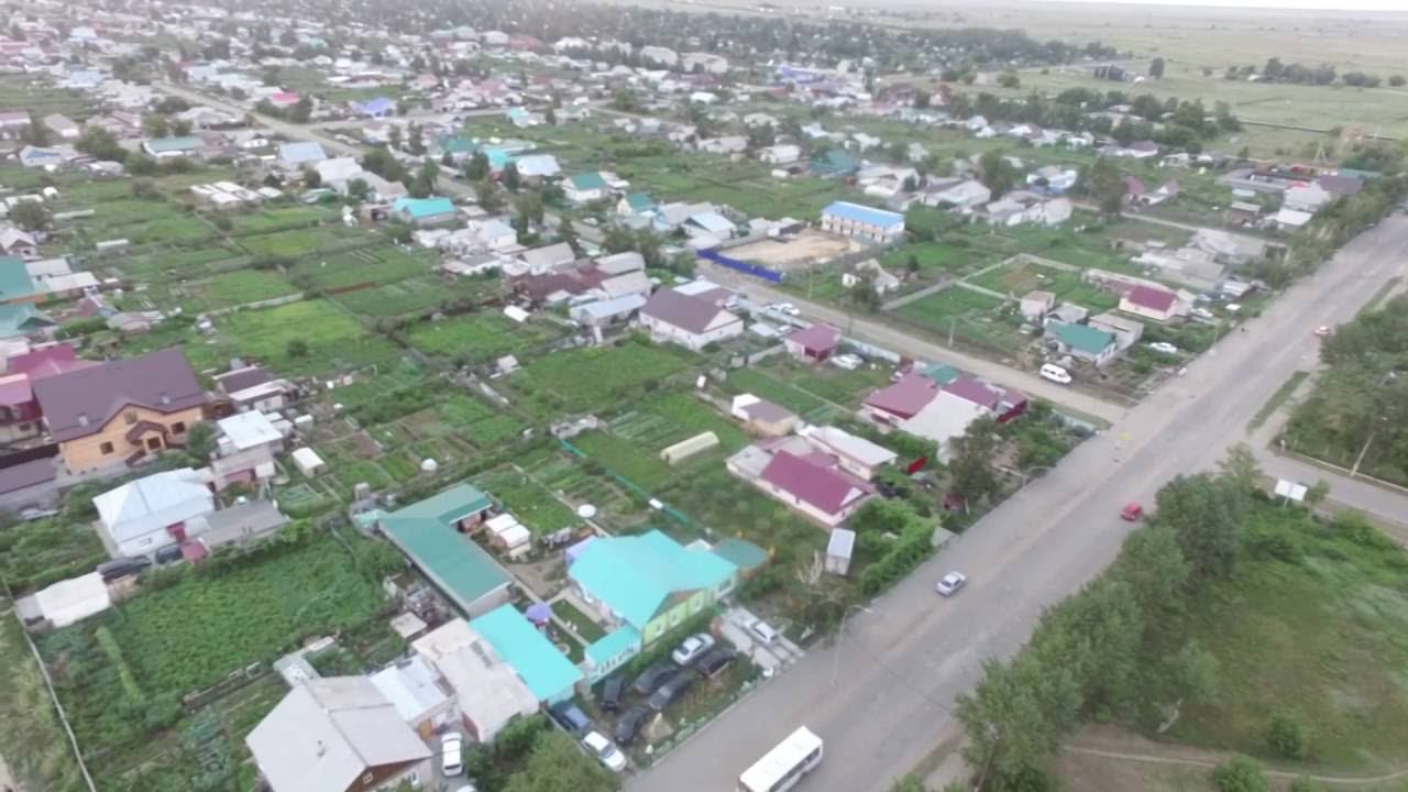 Яровое 2016 21.07.2016 очередные виды