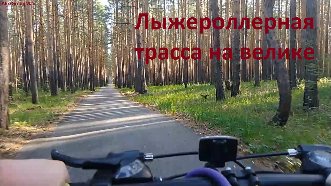 Лыжероллерная трасса на велике