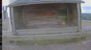 Camera 5 - 07/17/17