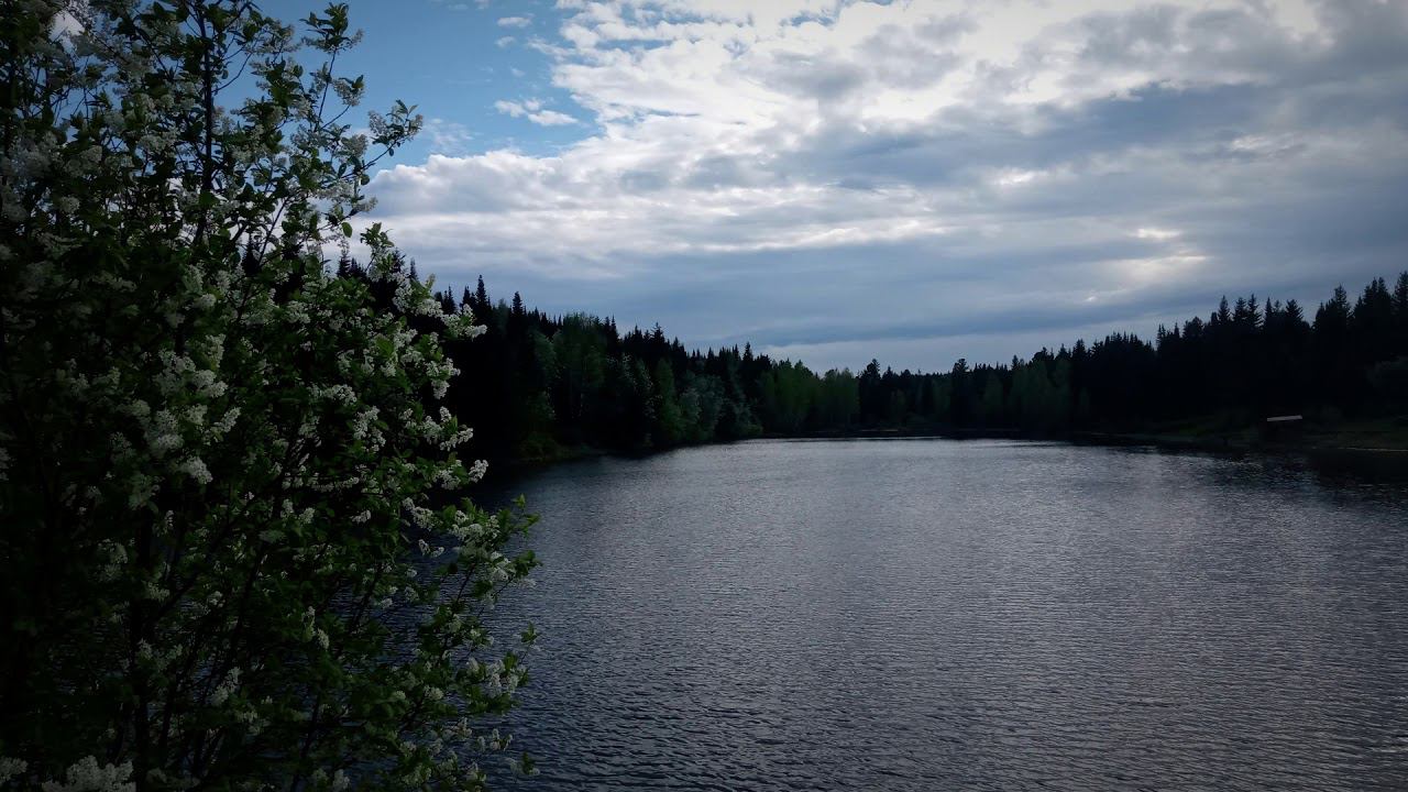 "Крошка Енот и тот, кто сидит в пруду" Лилиан Муур. Читает А.Ключук. Классика для детей фоном.