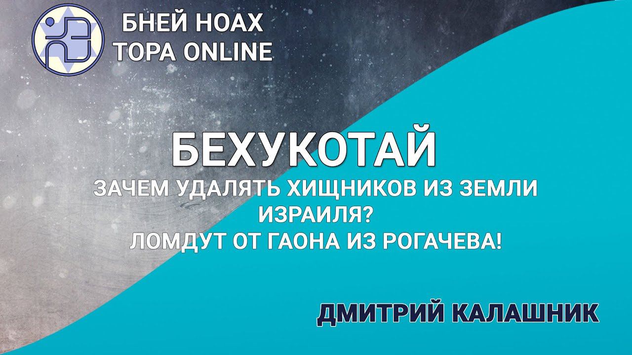 Зачем удалять хищников из Земли Израиля? Ломдут от Гаона из Рогачева! Недельная глава Торы Бехукотай