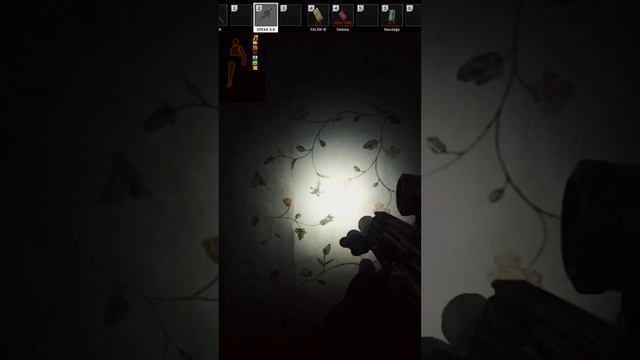 SIG Spear Demon Time