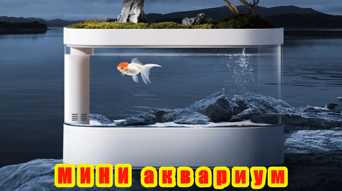 АКВАРИУМ для НАЧИНАЮЩИХ