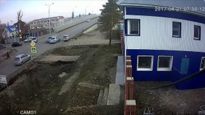 Эти собаки просто обожают, когда происходят ДТП