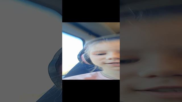 мы едем в новграт