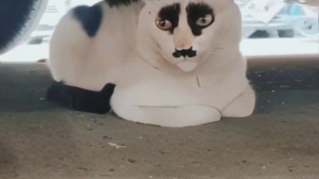 По моему?