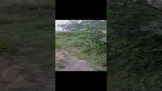 Остановка возле такого вот ручья
