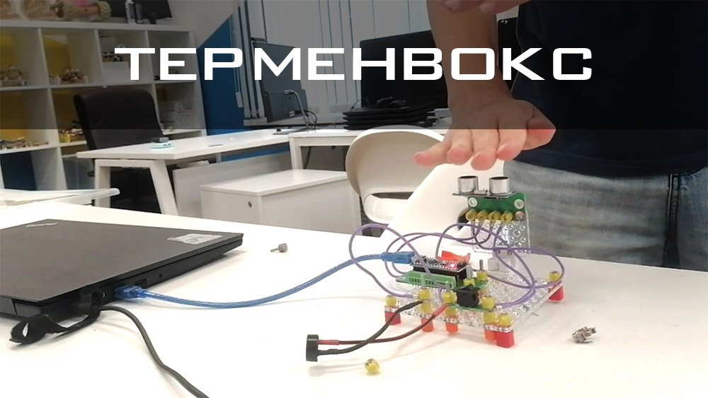 Терменвокс