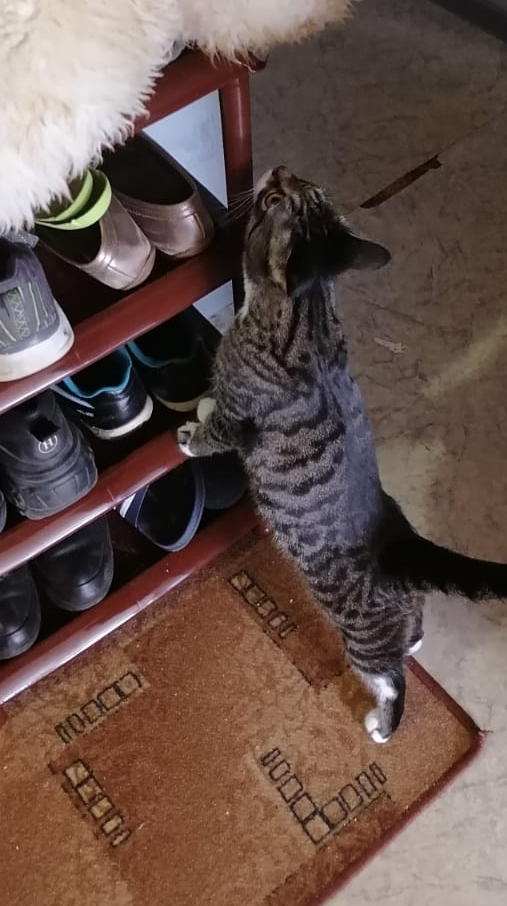 вот такие приходим вечером домой 😂