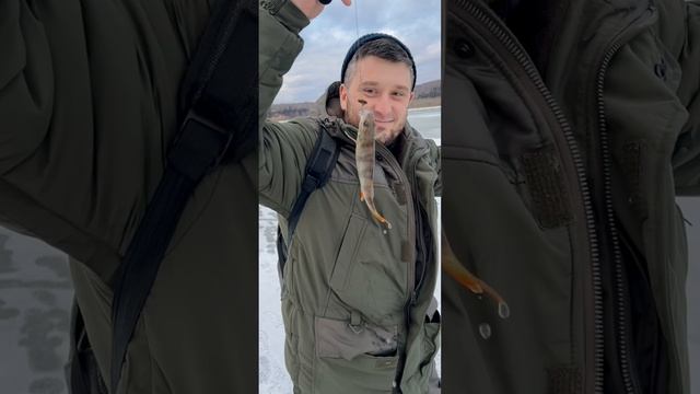 Черданцев против япперов