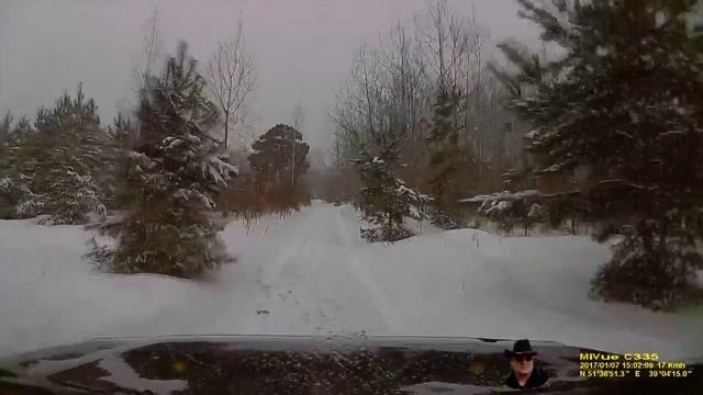 Рождественский лес 07 01 2017г