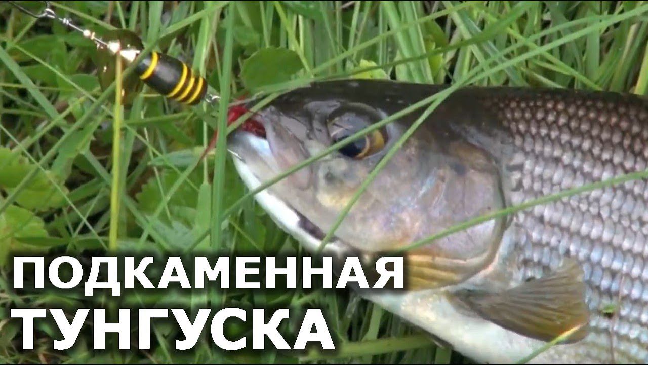 Рыбалка на Подкаменной Тунгуске 2010. Неописуемые красоты нашей Сибири.