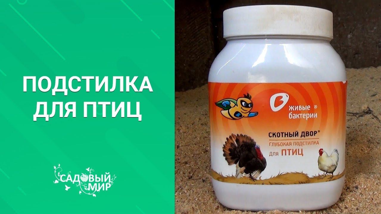 Вся правда о глубокой подстилке для  домашних птиц.