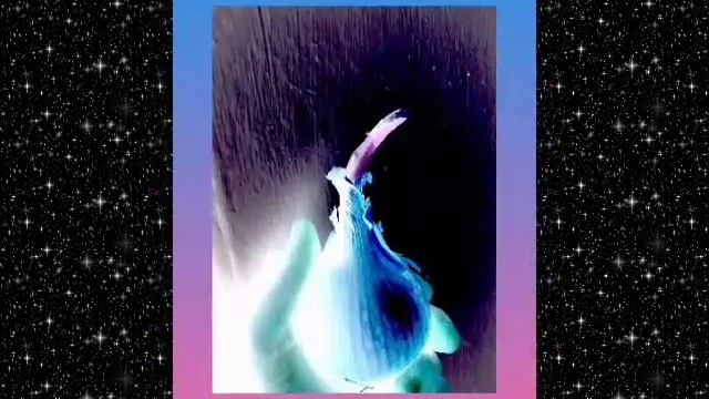 Трепещущее сердце Чиполлино в открытом Космосе53475