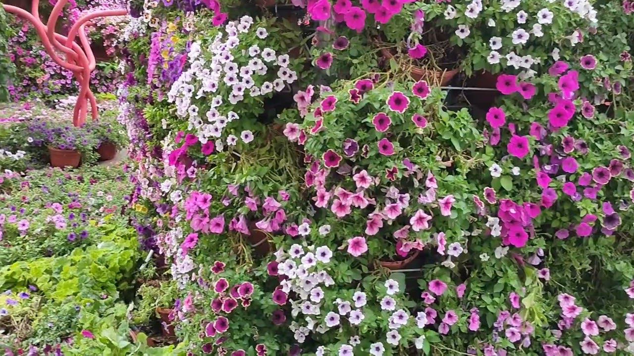 Фестиваль цветов в Москве