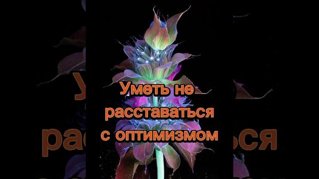 Классного настроения