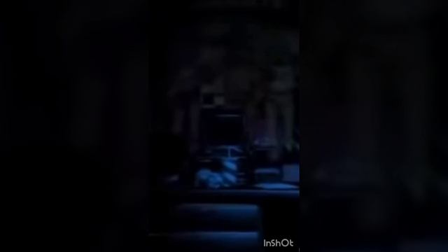 вдруг из за кусточка, из за синего лесочка...