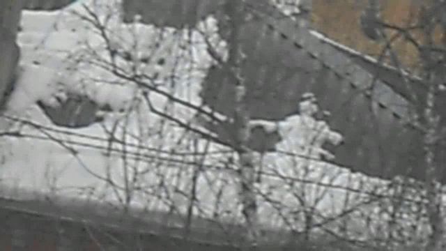 Голубь на проводе 365634654 DSCN5144