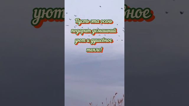 Здравствуй, Осень!🍁#сентябрь#осень#shorts