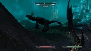 Skyrim - All Named Dragons (LEGENDARY)
