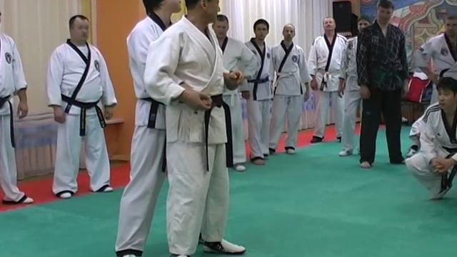 11. 1 семинар по хапкидо в России ГМ Ким Нам Джи - Москва 2008 г