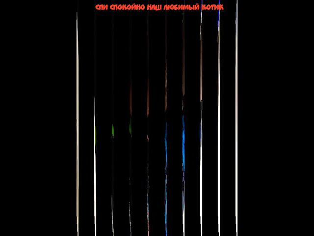 Сегодня не стало нашего Любимого Рыжика