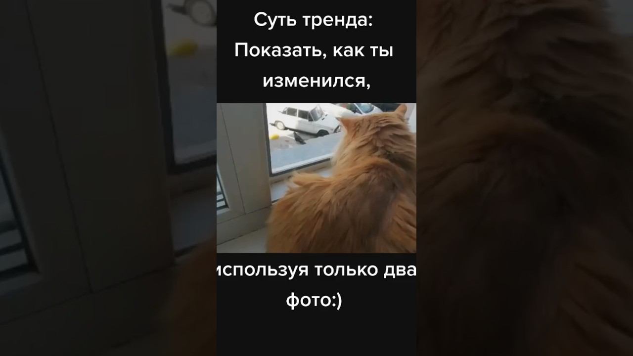 Сильно изменился котик?)🐱☺