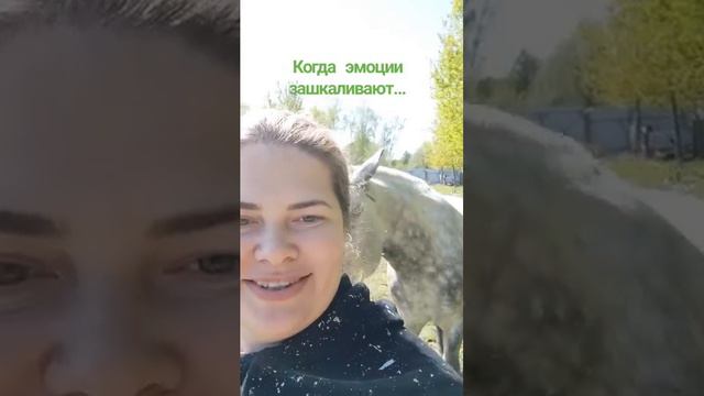 Лошади - моя любовь.