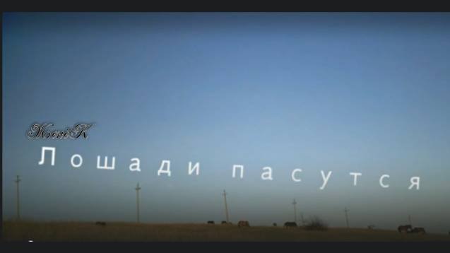 Лошади пасутся