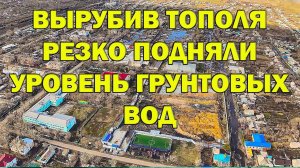 Резко вырос уровень грунтовых вод после того как уничтожили парк, вырубив за раз более 100 тополей.