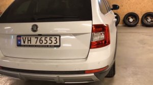 Skoda Octavia III LED Rear Indicators