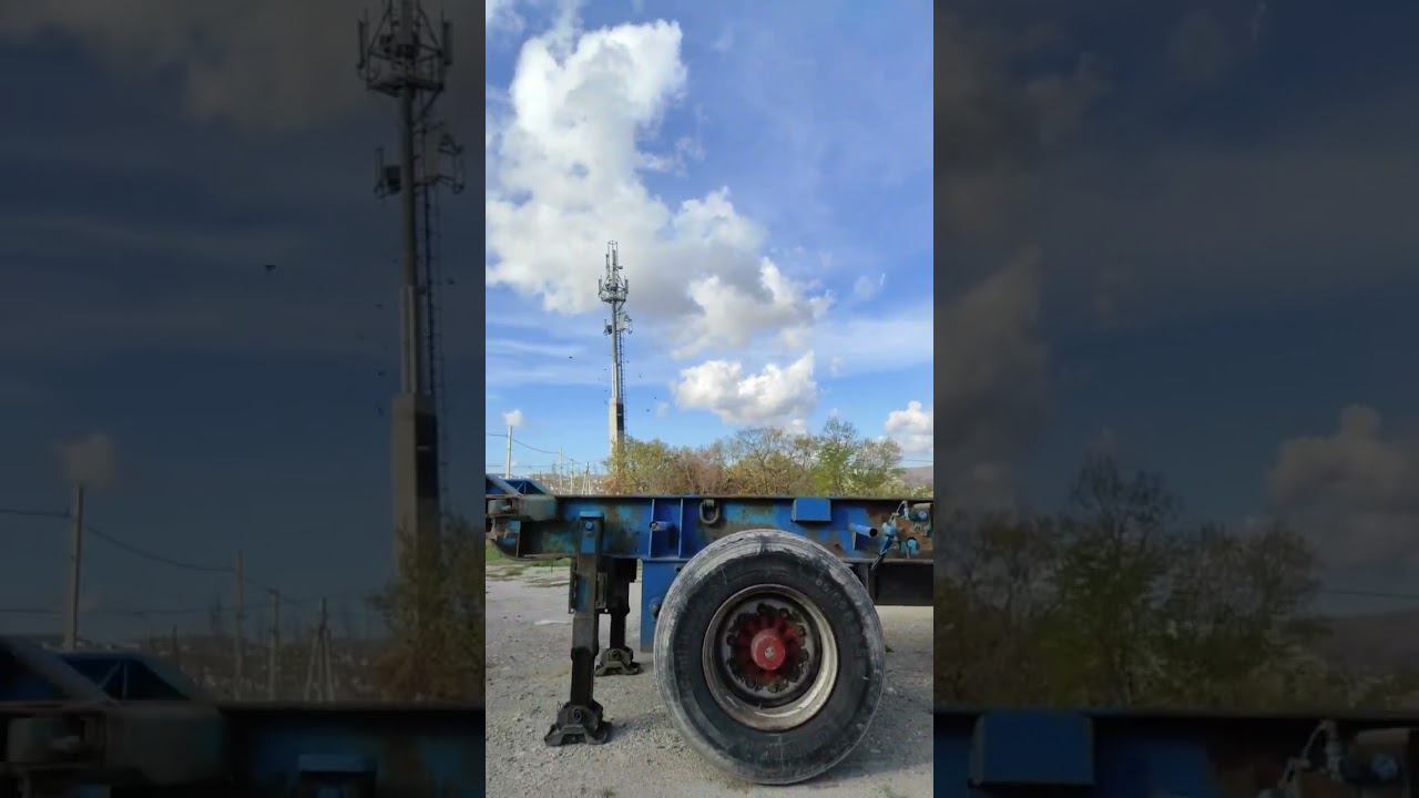 Полет домой️ Новороссийск-Краснодар #pigeons спортивные голуби/почтовые голуби#голуби#pigeon#