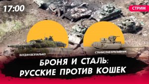 Броня и сталь: русские против кошек [Богдан Безпалько. СТРИМ]