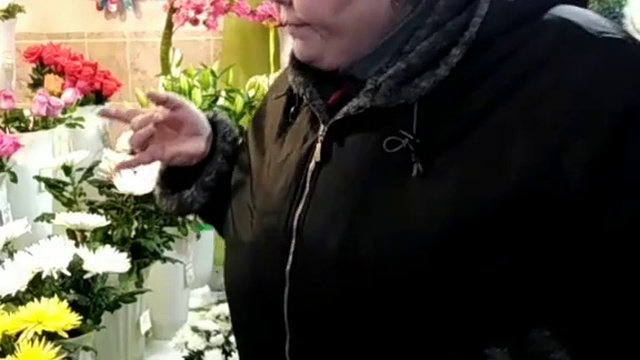Без названия