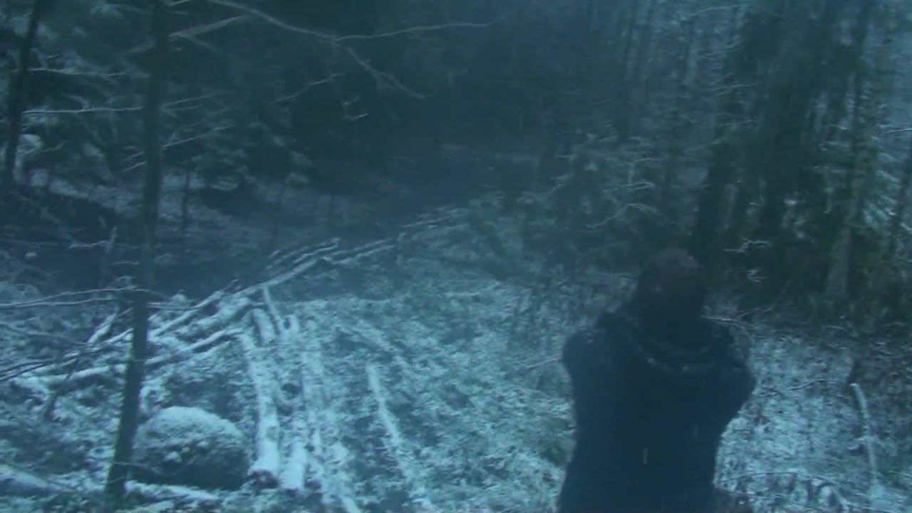 Осень 2008 вольер 8