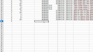 Como Gestionar Productos con un CSV EXCEL (para TPV y Tiendas online)