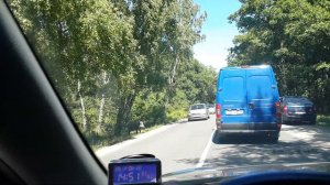 Дикие кабаны выходят к людям