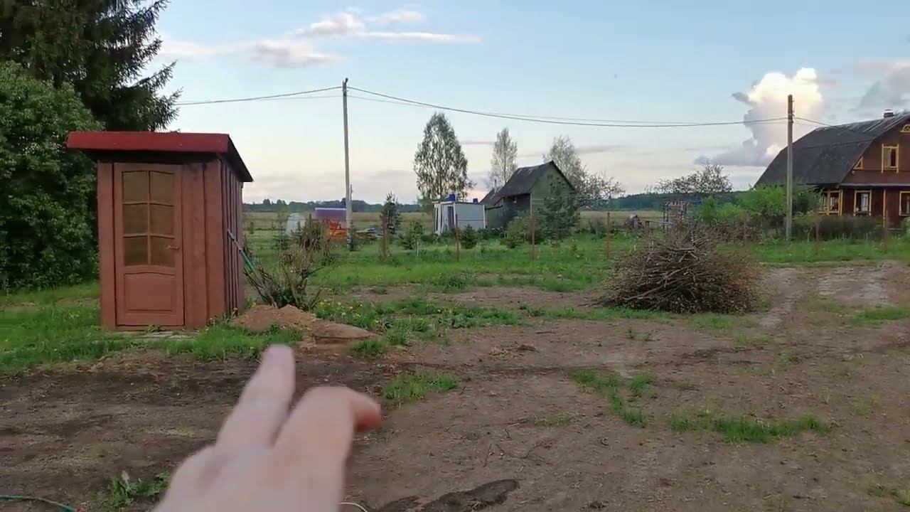 Дачные движения 2023. Посадил иву, порезал старые кусты. планы на лето