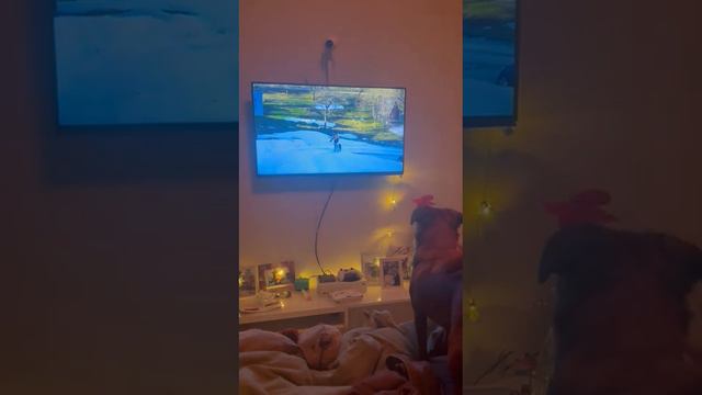 Марта любит детективы. Переживает и комментирует.