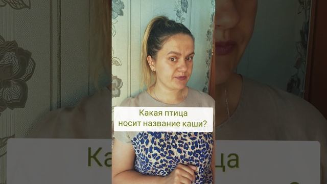 YouCut_20220626_165607369.mp4