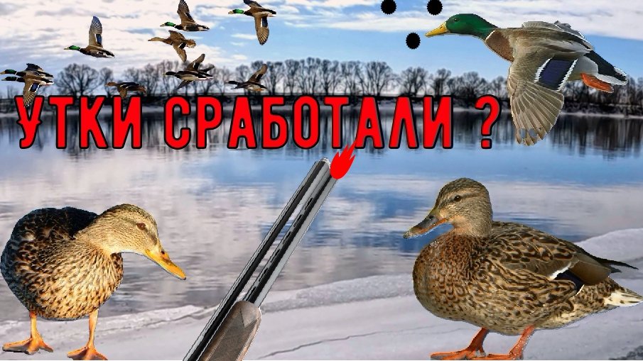 Открытие Весенней Охоты на селезня с ПОДСАДНОЙ в Московской области/Все Водоемы во ЛЬДУ