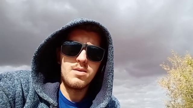 Два дерева. Немного мудрости друзья?