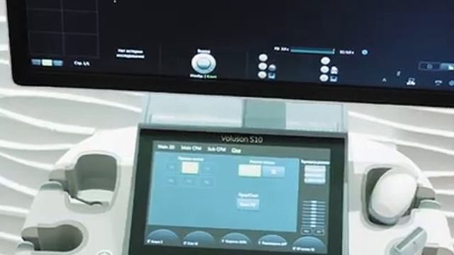 GE Voluson S10