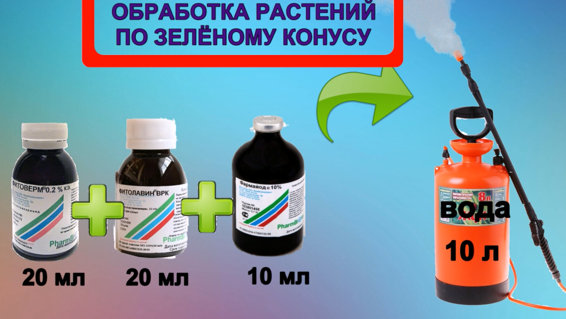 24.04.2023 Обработка сада от вредителей и болезней продолжается.